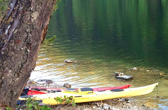 Backeddy Resort Adventure | Guided Kayak & Sightseeing Boat Tours